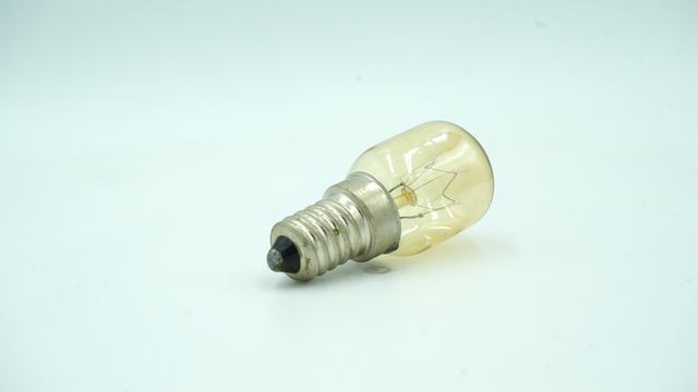 Лампочка для печи GGF (7109435)