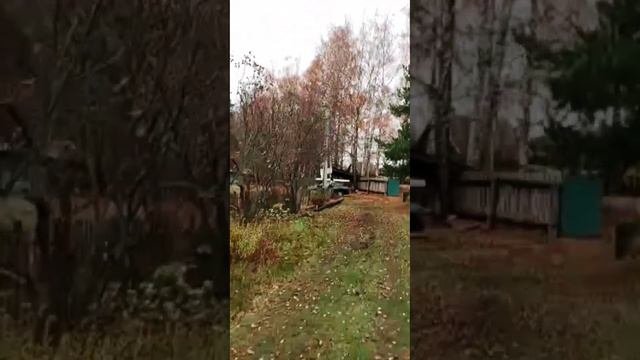 27 октября 2022 г.