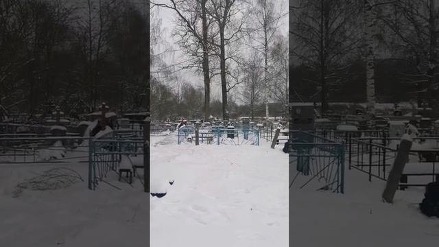 28 ноября 2022 г.