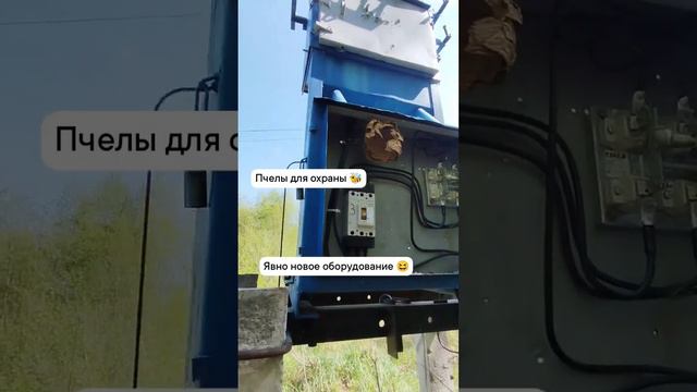 россети