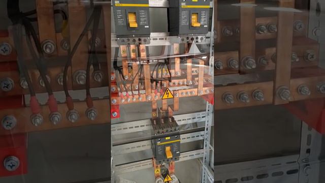 5 июня 2024 г.