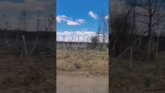 22 апреля 2023 г.