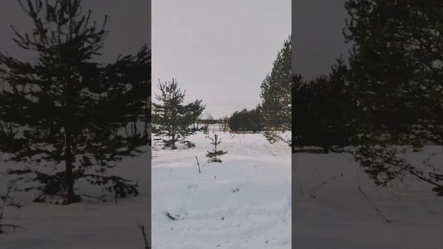 11 февраля 2023 г.