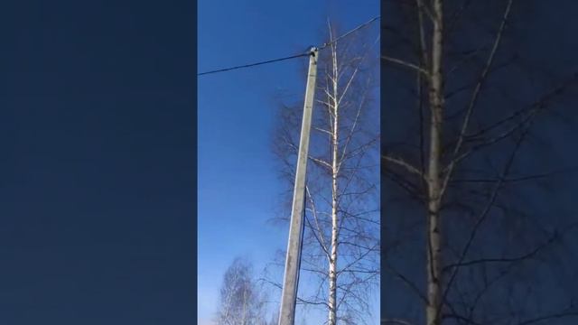 строительство линии электропередач