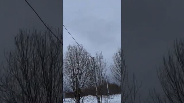 25 января 2024 г.