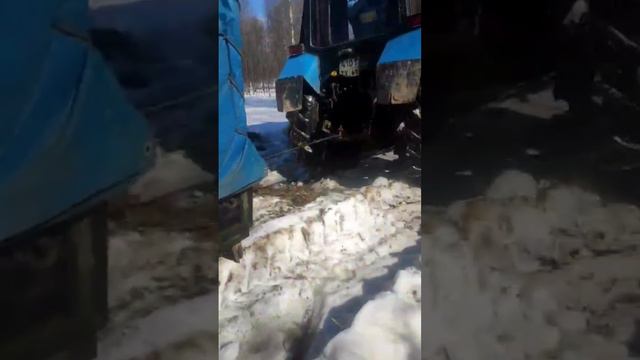 29 марта 2024 г.