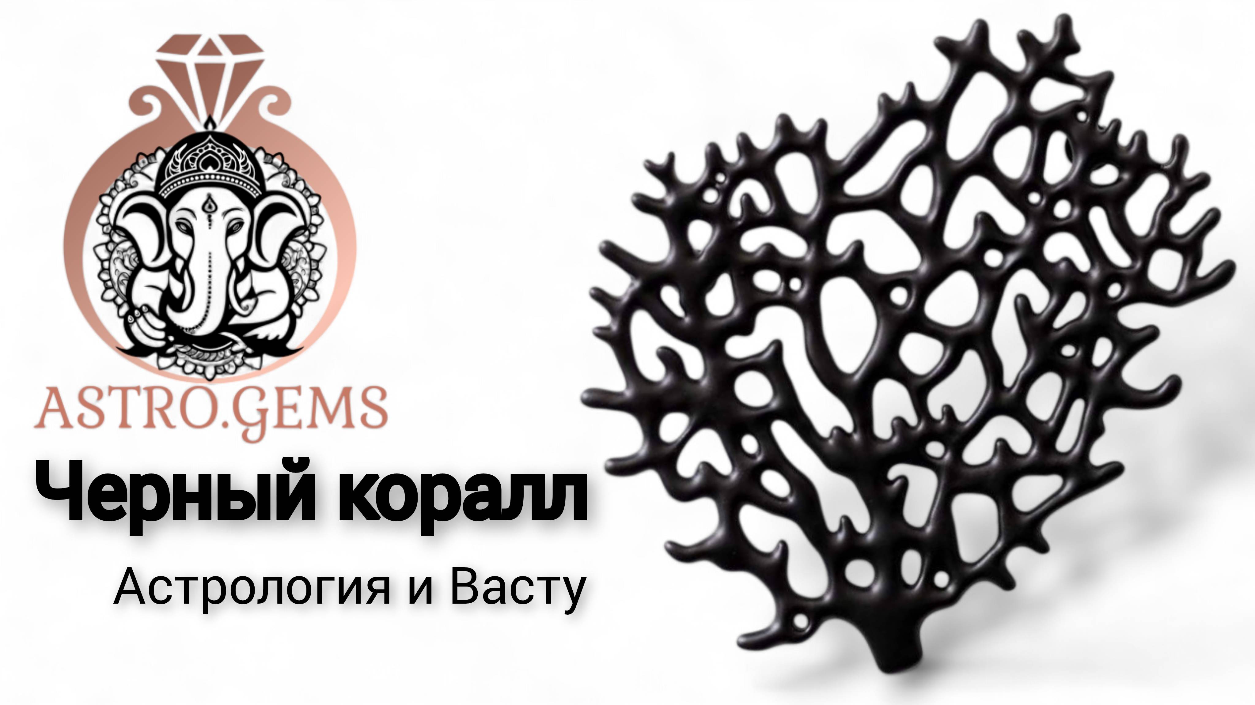 Черный коралл. "Ассасин" с глубин морских