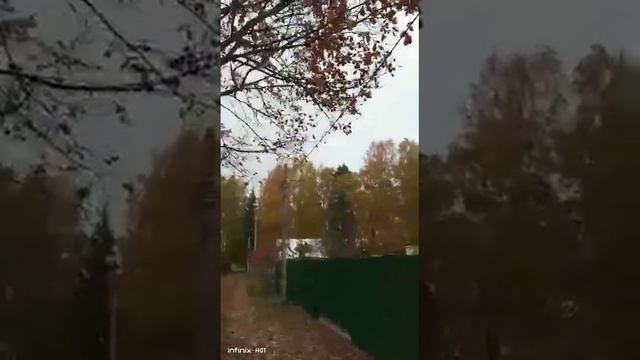 линия