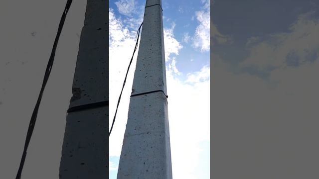 23 сентября 2024 г.