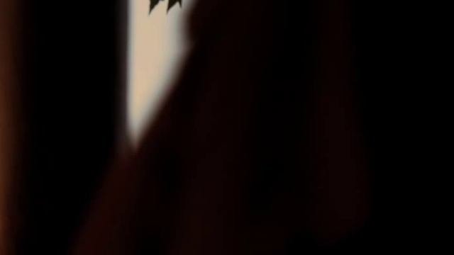 Дневники вампиров 1 сезон 2 серия