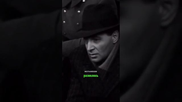 17 ноября 2023 г.