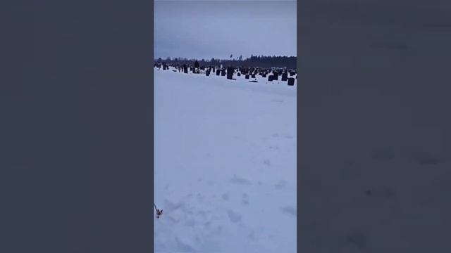 22 февраля 2024 г.