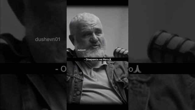 18 ноября 2023 г.
