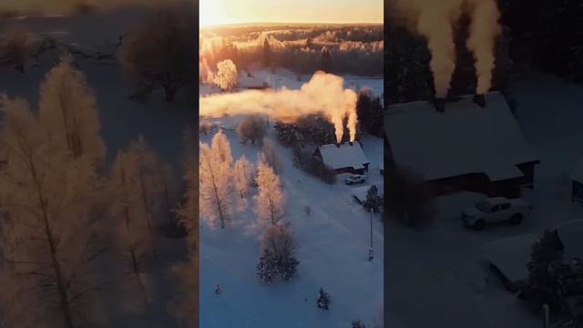 Петр Мамонов