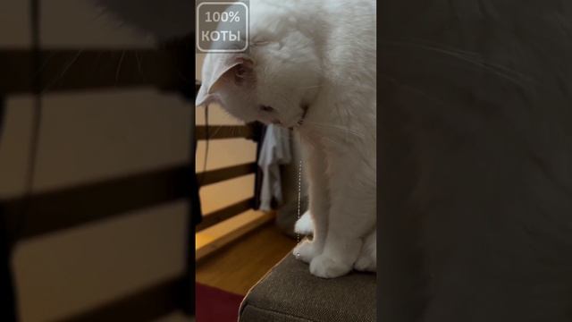 Мне этот мир абсолютно понятен