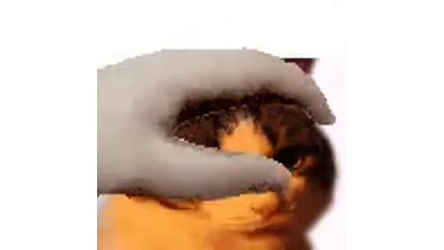 PET THE BUBLIK