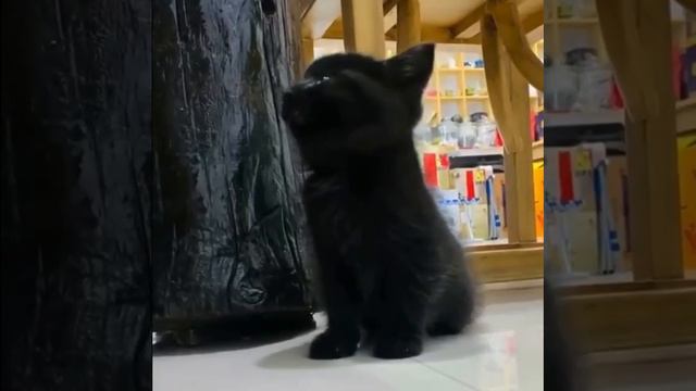 Опять это ваше утро !