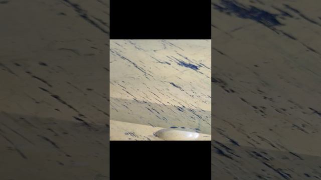 VID_20240925_131355.mp4 лапка