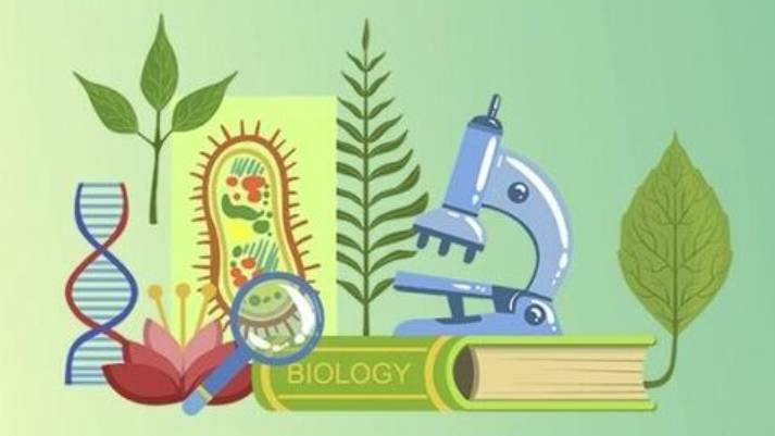 Биология 9 класс. Мутационная изменчивость. --