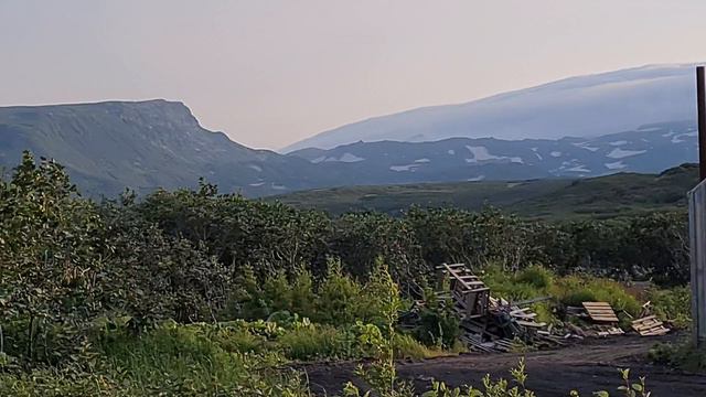 В сторону океана