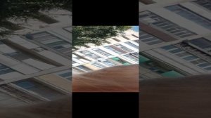 VID_20240925_141037.mp4плащатка глазик