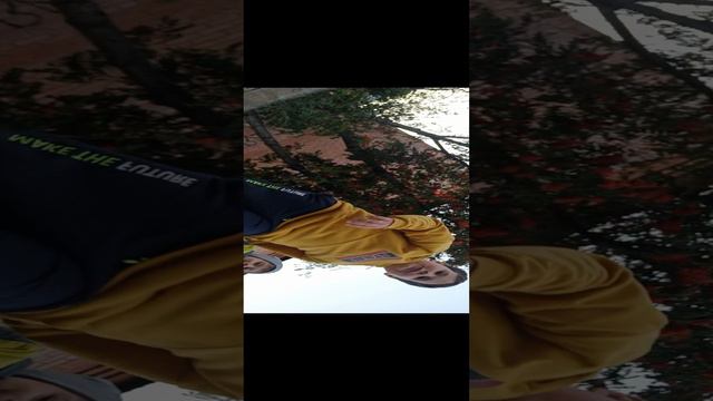 VID_20240925_190944.mp4