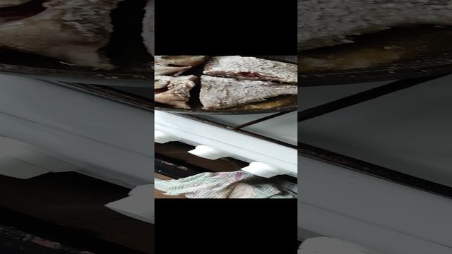 1000567051.mp4