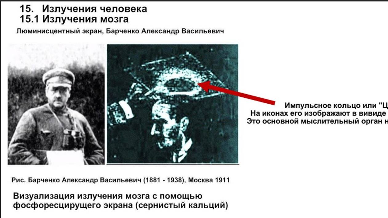 24.09.2024 год. Мыслит волновой орган мышления или душа?