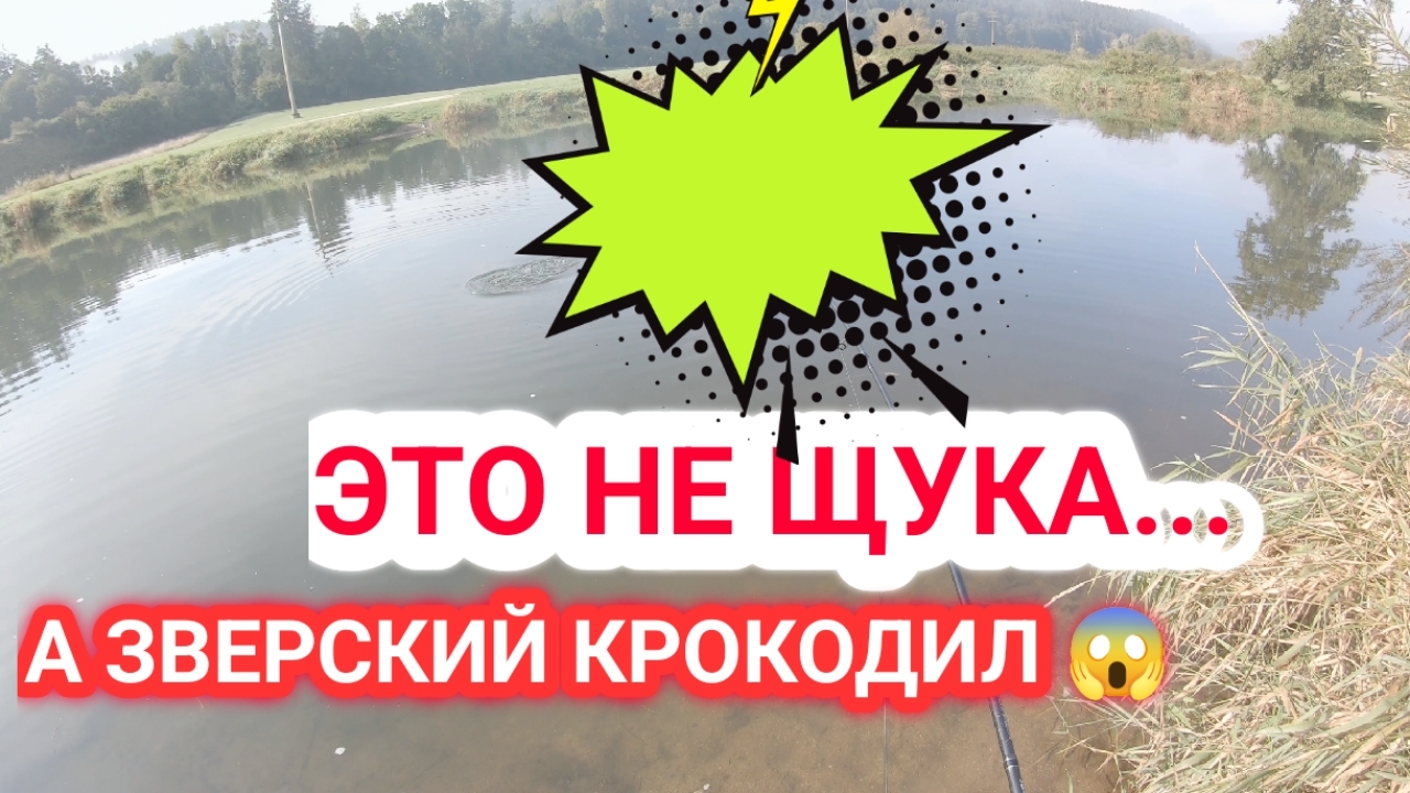 Зверская поклёвка щуки осенью на лучшый воблер! Бедный фрикцион от огромной щуки 😱