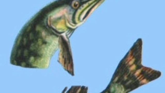 Рыбак и охотник. (малышам). Русская народная сказка из сборника Афанасьева.