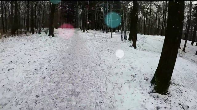 Strida. На ней можно похудеть?!