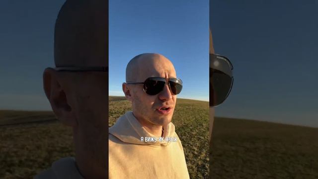 Что общего между бабниками и собачниками? Психология отношений. Даниил Трофимов #психология