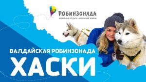 Незабываемые приключения с хаски на Валдае