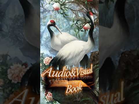 Вильгельм Гауф - Калиф-аист #shorts #аудиокнига #аудиосказка