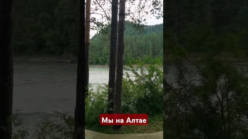 С Москвы доехали до Горного Алтая. Автопробег Владивосток-Москва. С интернетом по стране просто жуть