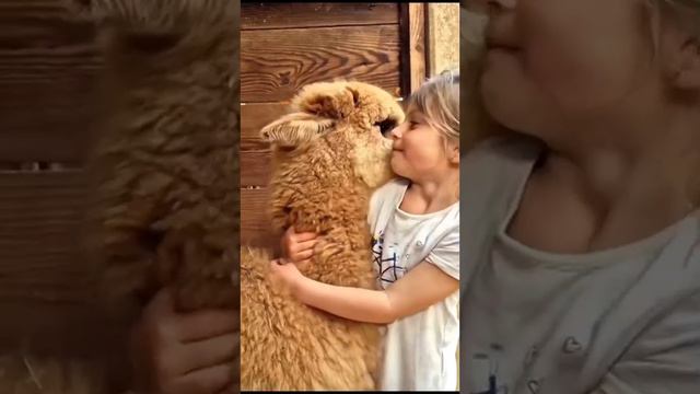 Доброе видео