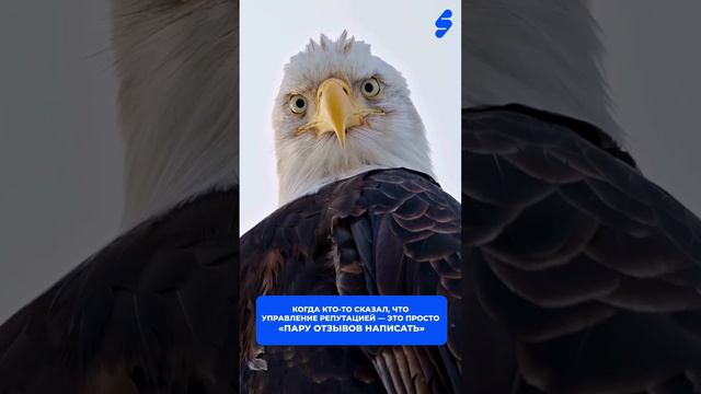За час управимся, коллеги
#репутация