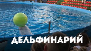 Поход в ДЕЛЬФИНАРИЙ | 2024 | СОЧИ | РЕКОМЕНДАЦИИ | ВЛОГ