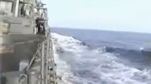 ЭМ Расторопный