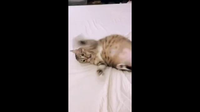 Опять утро!