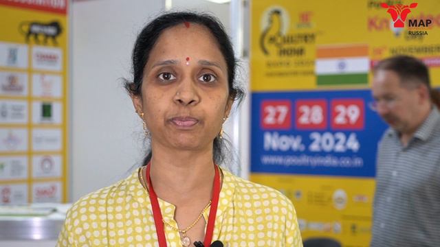 IPEMA. MAP Russia 2024