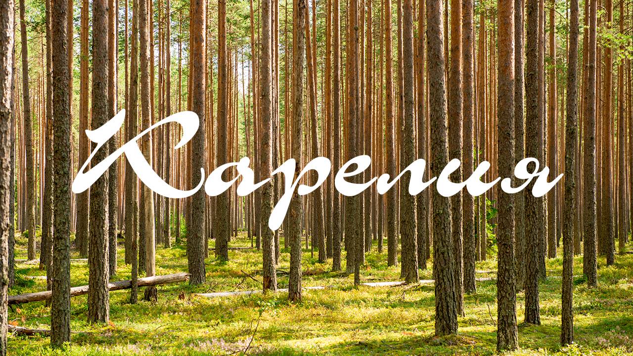#1 Север: Дорога в Карелию (Сортавала) на машине.