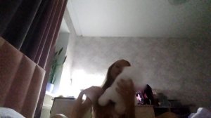 я заболела...