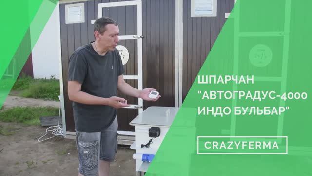 ⚡ГОРЯЧИЙ ОЩИП крупной птицы! 🎥Видео-обзор НОВОГО ШПАРЧАНА _АВТОГРАДУС 4000 ИНДО БУЛЬБАР