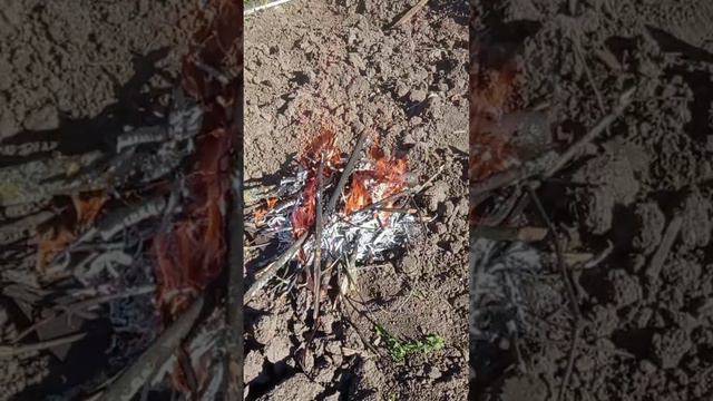 Романс.   Яков Полонский.