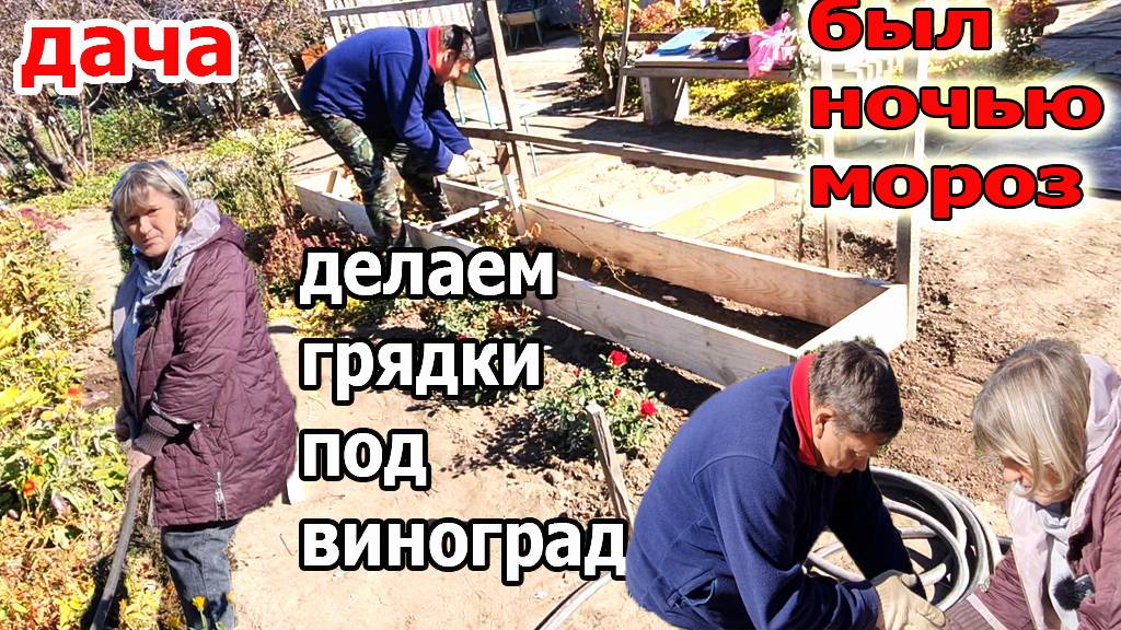 Дача.Делаем Грядки.Собираем Помидоры.Уже был мороз на почве и все испортил