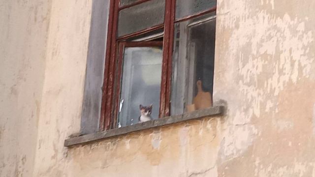 наблюдатель с детства