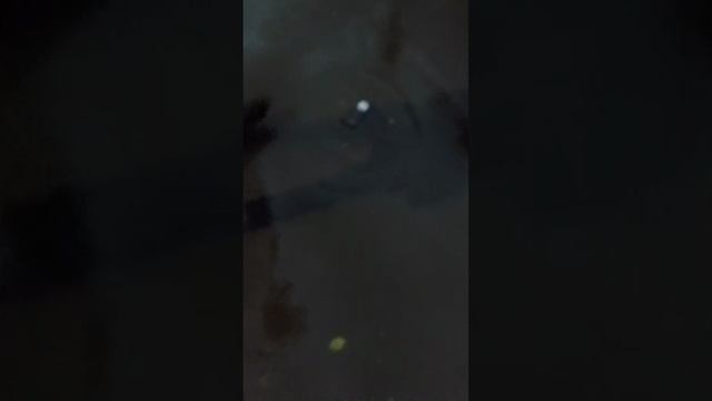 scene_output.mp4
