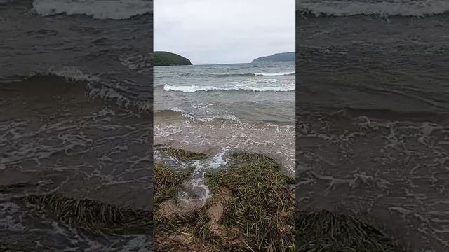 Отдых в циклон 19.08.2024г. с. Тимофеевка #море