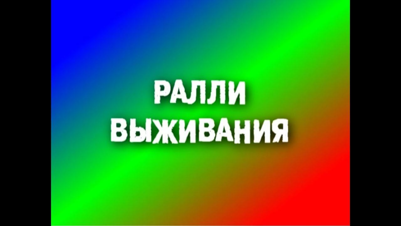 Городской фестиваль НЦ Ралли выживания в 15 школе 2010  (Баяндина А.В.)